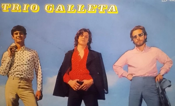 ¿Te acordás del Trío Galleta? La banda marplatense que triunfó en ...