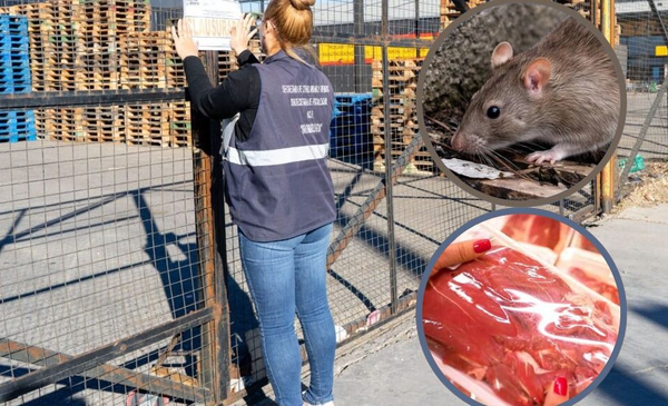 Excremento de roedores y carne sin rotular: clausuraron un supermercado ...
