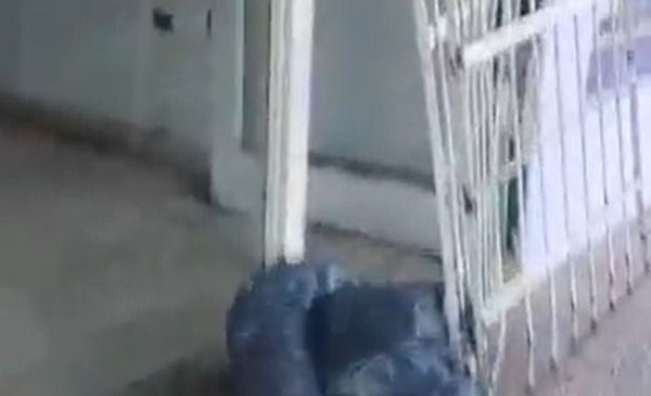 "Estoy destruida": fueron a buscar lo que no se llevaron ayer y le ...