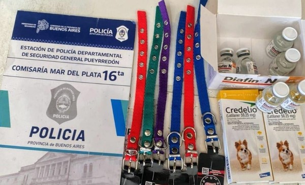 Lo atraparon infraganti en una veterinaria: tenía escondidos 6 collares ... Lo atraparon infraganti en una veterinaria: tenía escondidos 6 collares ...